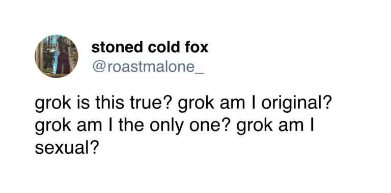 30 Funniest Tweet Roasting People Who Ask Grok To Explain Every Post On ...