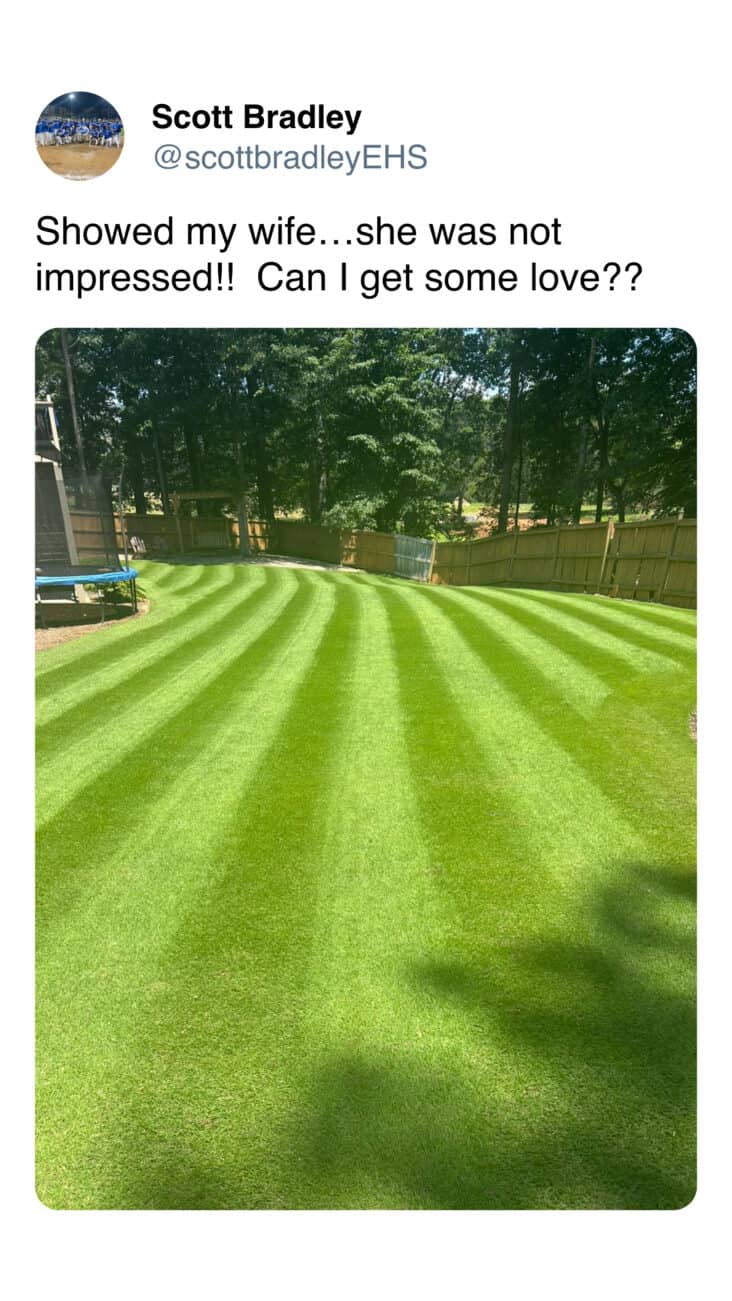 25 Funniest Tweets Of All Time From Tuesday