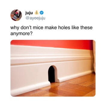 25 Funniest Tweets Of All Time From Wednesday