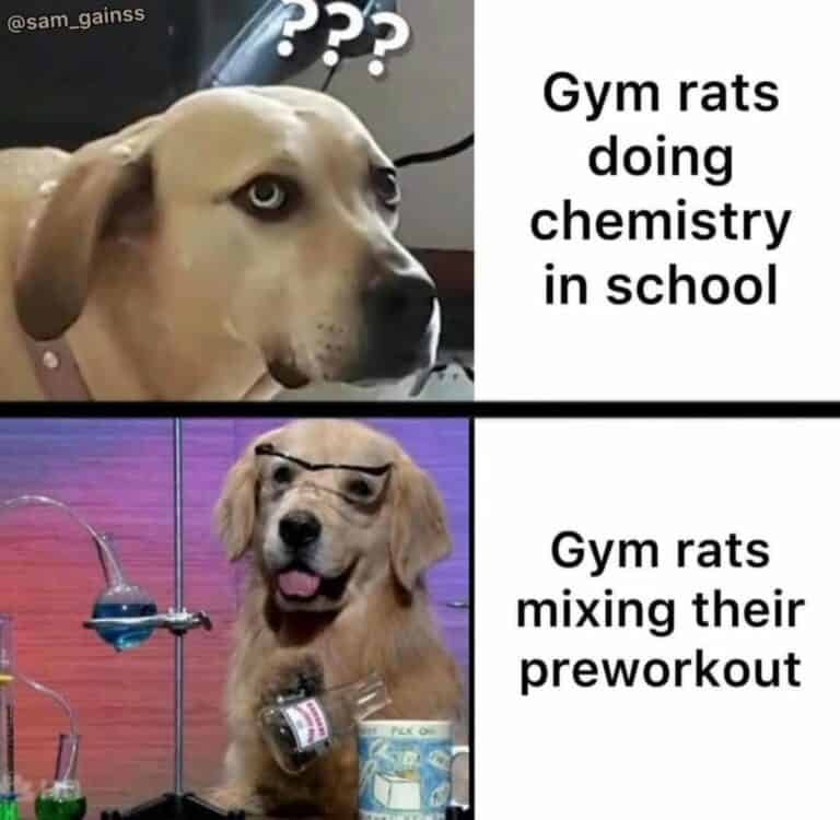 32 Funniest Weight Lifting Memes For Fitness Freak Who Guzzle Pre ...