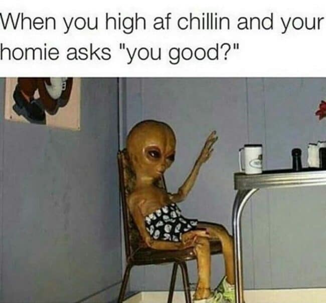 35 Funny Alien Memes That Prove Earth Isn’t Ready for First Contact