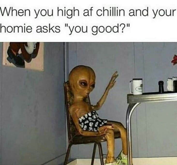 35 Funny Alien Memes That Prove Earth Isn’t Ready for First Contact