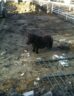 30 Funny Random Horse Pictures That Raised More Questions Than Answers