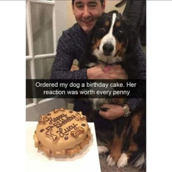 35 Funniest Pictures Of Animals That Made Us Bark And Squawk With ...