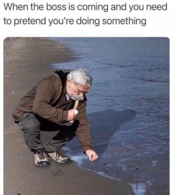 35 Funny Boss Memes You Won’t Have To Pretend To Laugh At Like You Do Your Boss’ Jokes