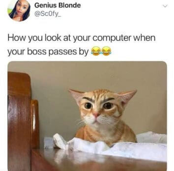 35 Funny Boss Memes You Won’t Have To Pretend To Laugh At Like You Do ...