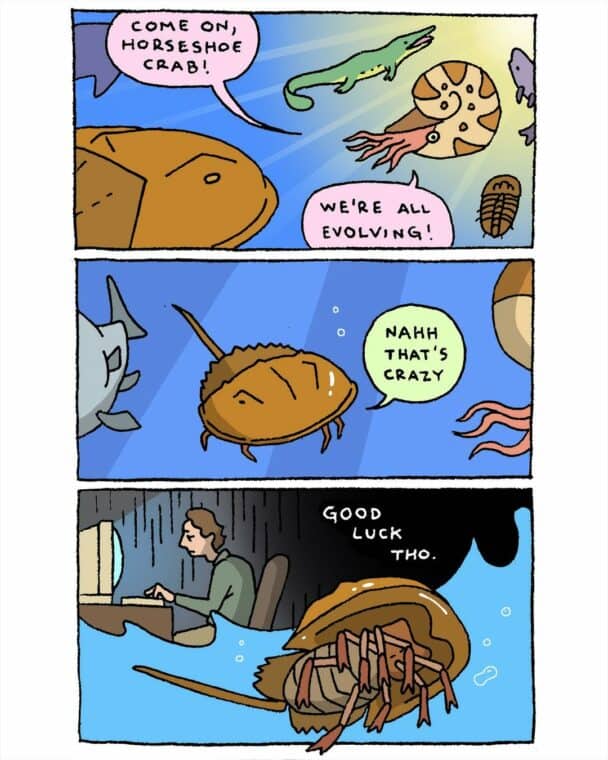 35 Hilariously Weird Comics From BeetleMoses That Nerds Will Absolutely ...