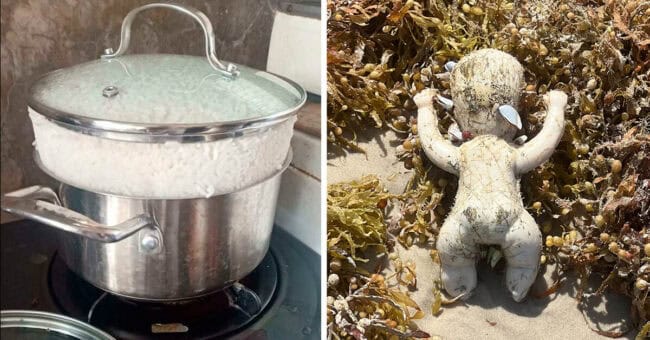 40 Hilariously Cursed Images You Ll Laugh At And Then Wish You D