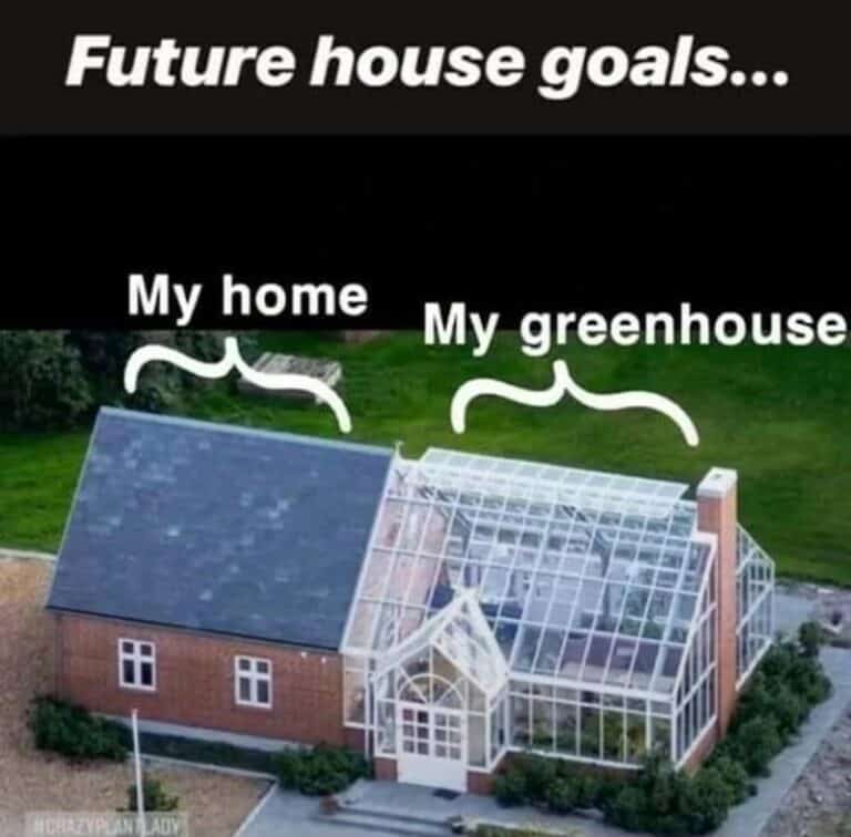 35 Funny Gardening Memes For People Who Talk To Their Plants (And ...