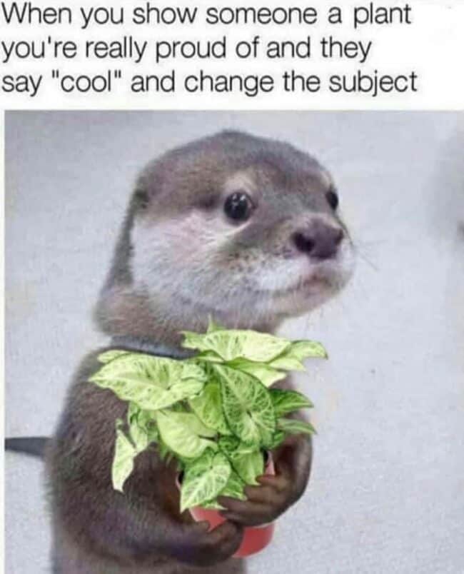 35 Funny Gardening Memes For People Who Talk To Their Plants (And ...