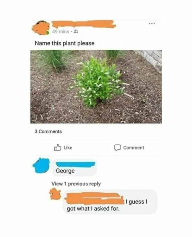 35 Funny Gardening Memes For People Who Talk To Their Plants (And ...