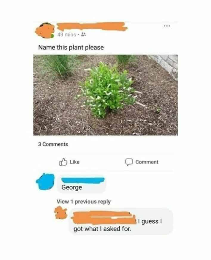 35 Funny Gardening Memes For People Who Talk To Their Plants (And ...