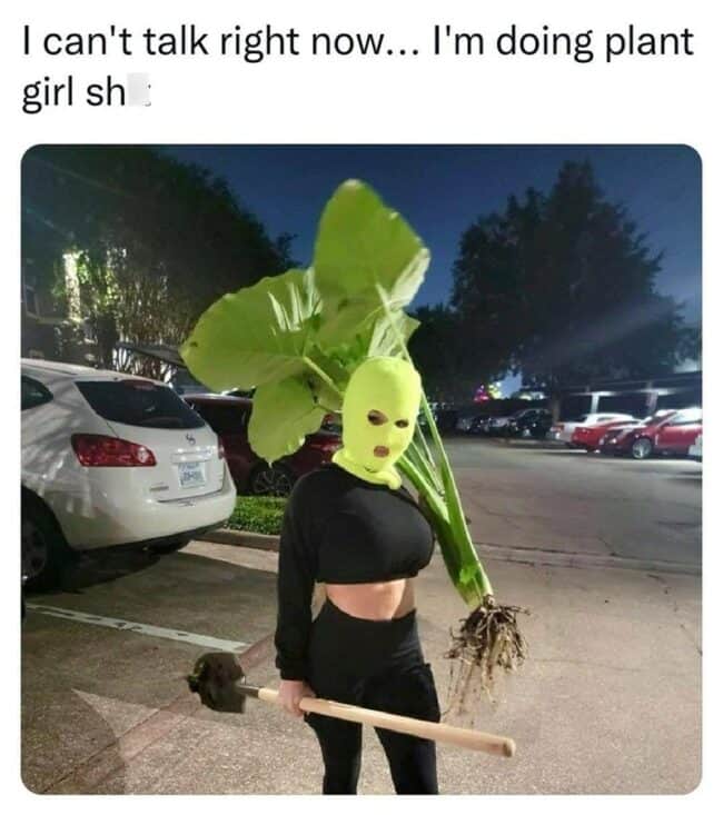 35 Funny Gardening Memes For People Who Talk To Their Plants (And ...
