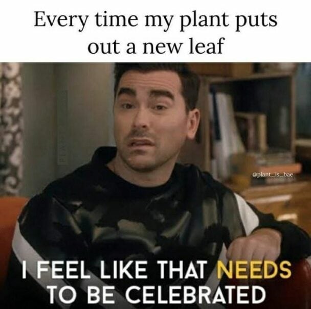 35 Funny Gardening Memes For People Who Talk To Their Plants (And ...
