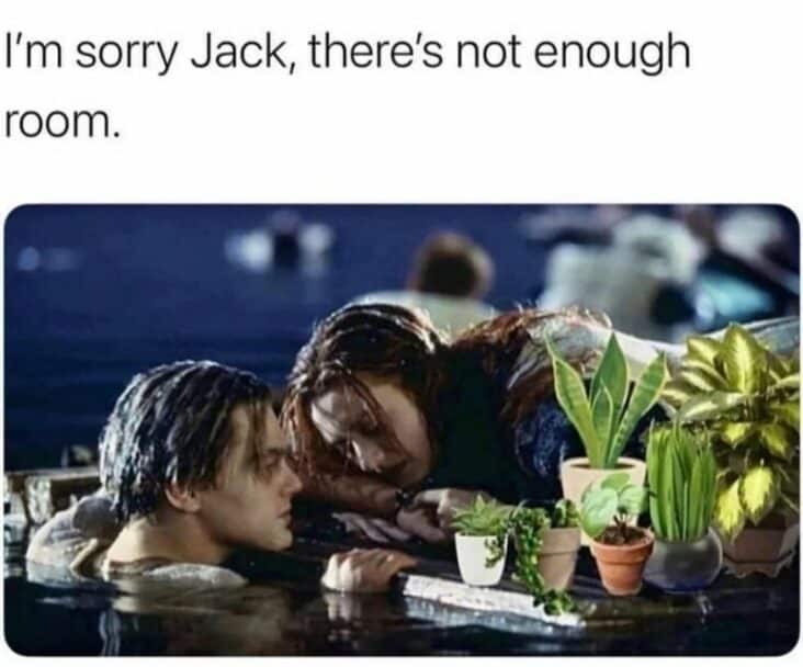 35 Funny Gardening Memes For People Who Talk To Their Plants (And ...