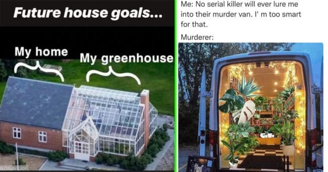 35 Funny Gardening Memes For People Who Talk To Their Plants (And ...