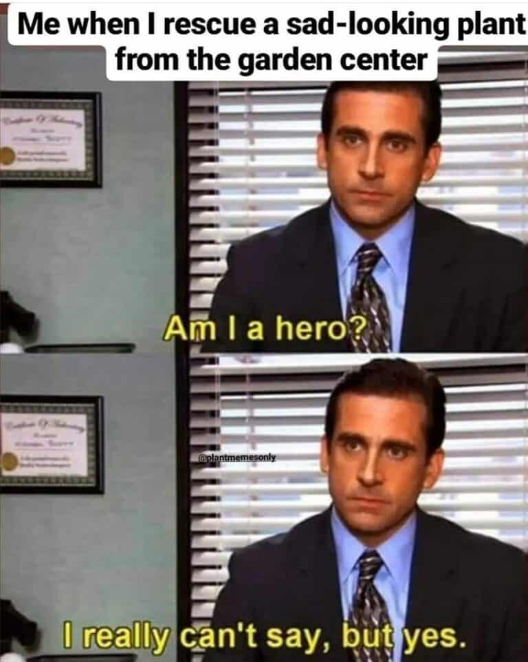 35 Funny Gardening Memes For People Who Talk To Their Plants (And ...