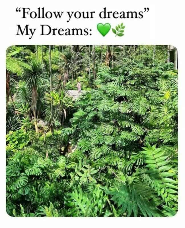 35 Funny Gardening Memes For People Who Talk To Their Plants (And ...