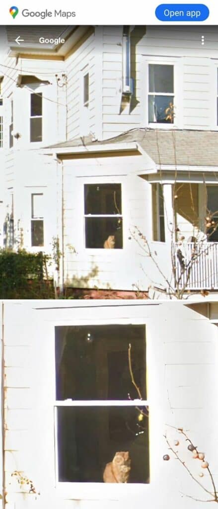 36 Funny Google Maps Screenshots That Make You Wonder Who’s Controlling ...