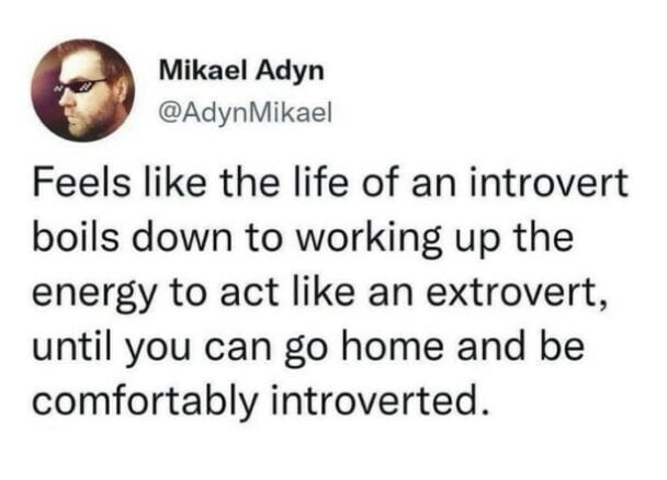 30 Funny Introvert Memes That Understand You Better Than People Do ...