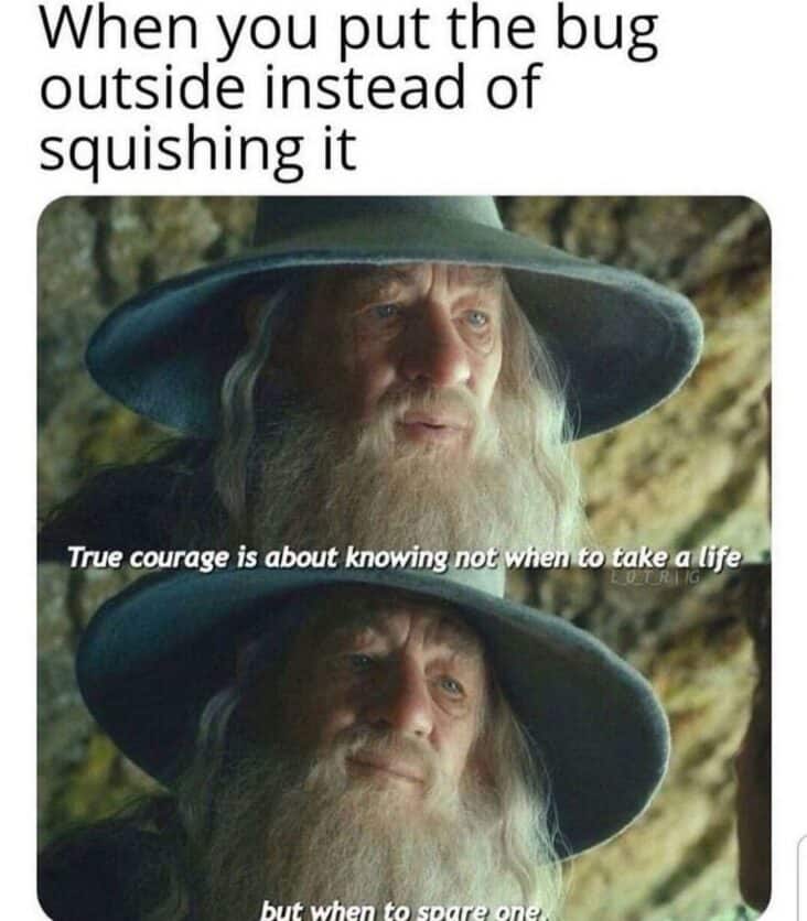 32 Funny Lord of the Rings Memes That Are Simply Precious (June 2, 2025)