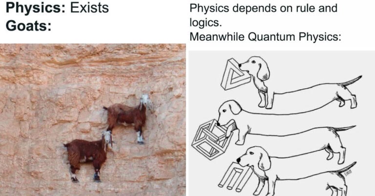 30+ Physics Memes So Funny That Even Gravity Can’t Hold Your Laughter Down