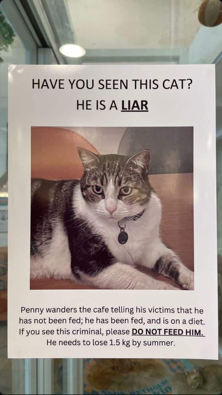 30 Hilarious Signs That Prove The World Is Just One Big Meme (June 7, 2025)
