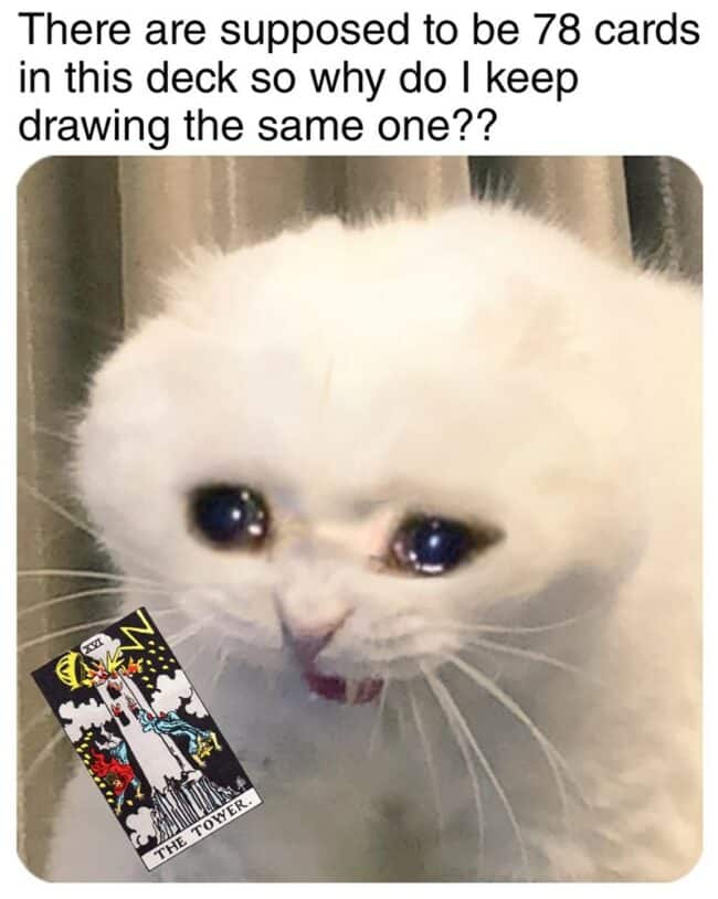 32 Funny Tarot Memes For People Who’ve Been Personally Attacked By The ...