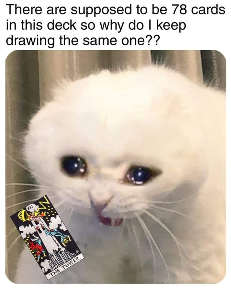 32 Funny Tarot Memes For People Who’ve Been Personally Attacked By The ...