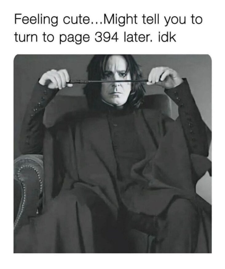 30 Harry Potter Memes That’ll Make You Laugh Harder Than A Tickled ...