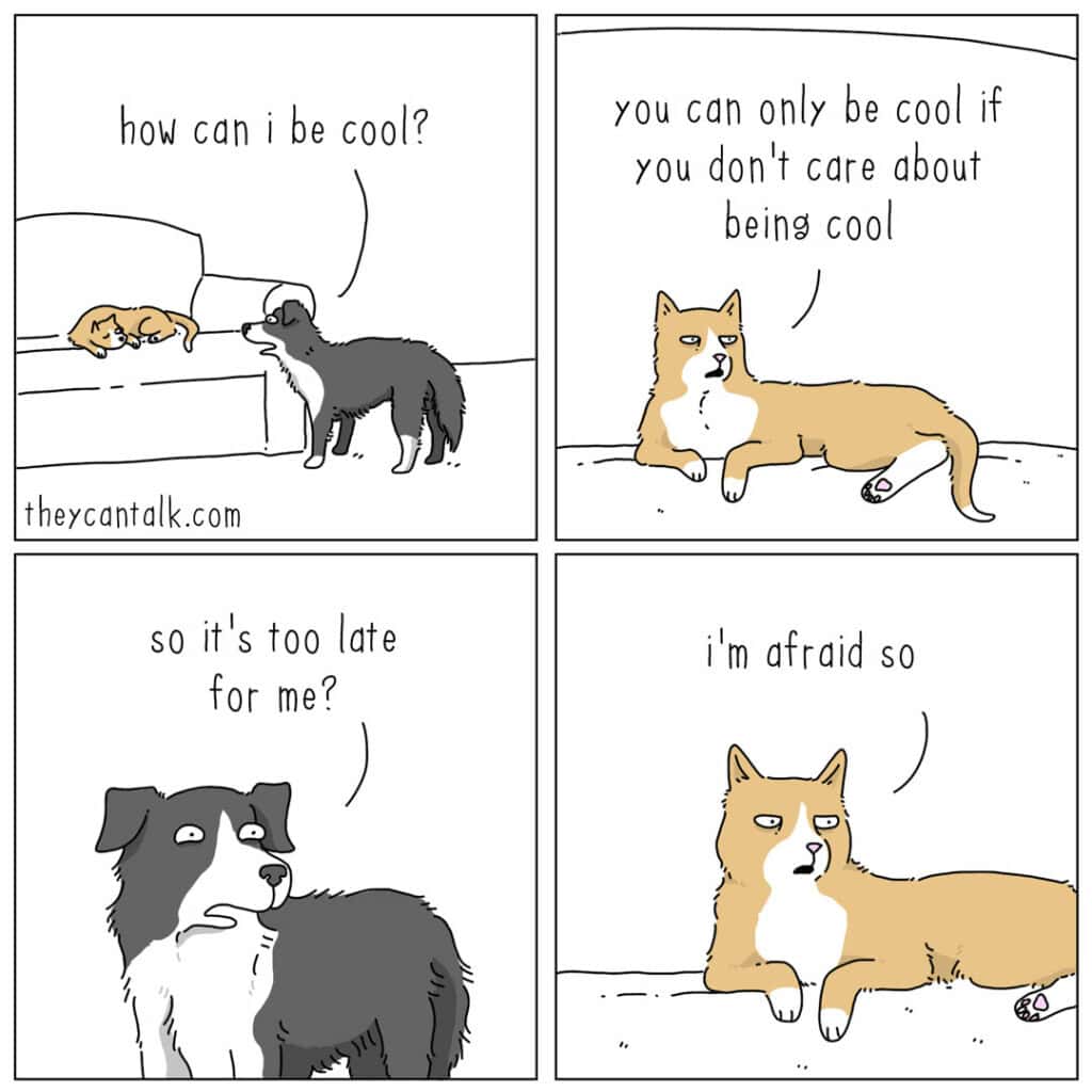 35 Hilarious Animal Comics From Jimmy Craig’s ‘They Can Talk’ Series