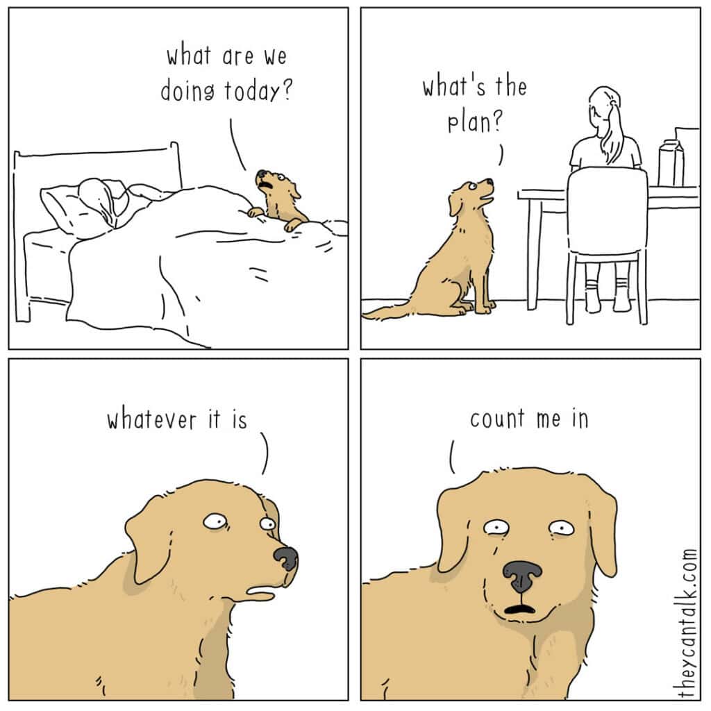 35 Hilarious Animal Comics From Jimmy Craig’s ‘They Can Talk’ Series