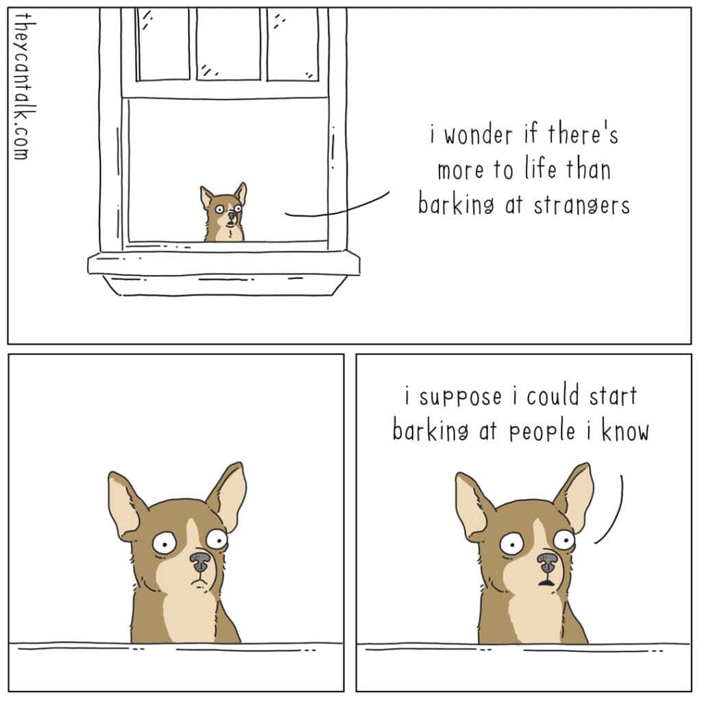 35 Hilarious Animal Comics From Jimmy Craig’s ‘They Can Talk’ Series