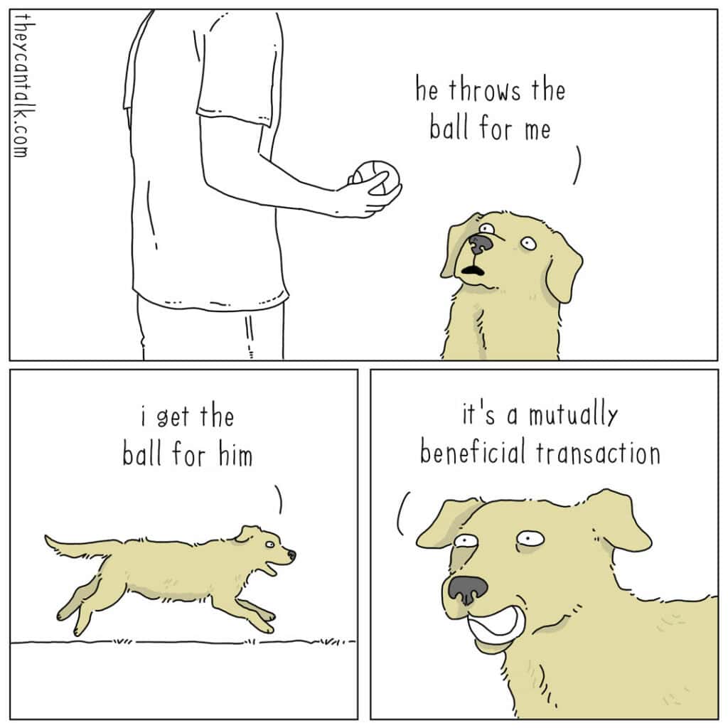 35 Hilarious Animal Comics From Jimmy Craig’s ‘They Can Talk’ Series