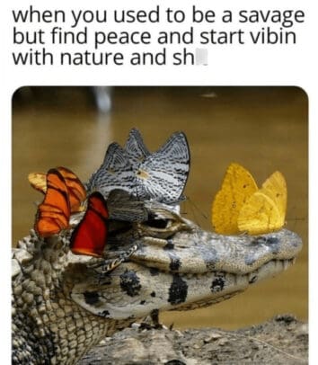 40 Funny Nature Memes For People Who Love The Outdoors