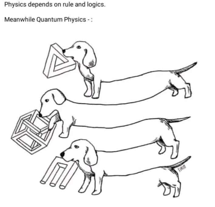 30+ Physics Memes So Funny That Even Gravity Can’t Hold Your Laughter Down