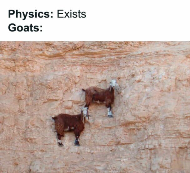 30+ Physics Memes So Funny That Even Gravity Can’t Hold Your Laughter Down