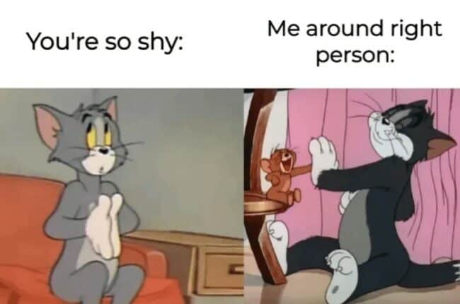 30 Relatable Introvert Memes For Anyone Who’s Ever Hidden In A Bathroom ...