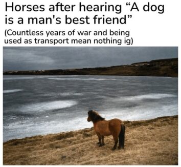 Relatable Nihilism Memes For When Nothing Matters But Laughing Still Helps
