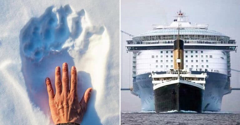 40 Fascinating Comparison Pictures That Really Put Things Into Perspective