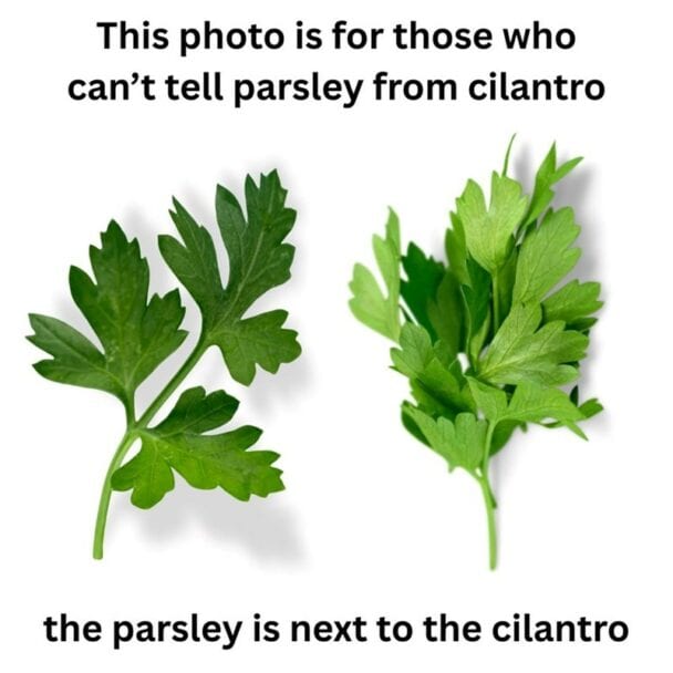 32 Funny Food Memes Cooked Up This Week For Anyone Who’s Ever Burned Toast