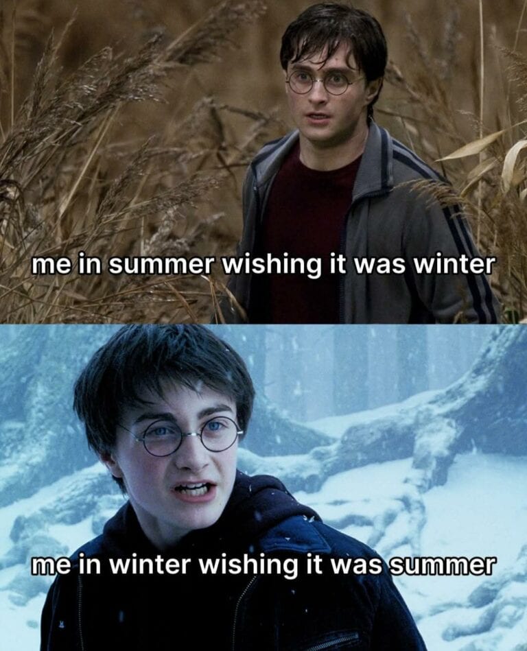 30 Of This Week's Funniest Harry Potter Memes That Even Snape Would ...