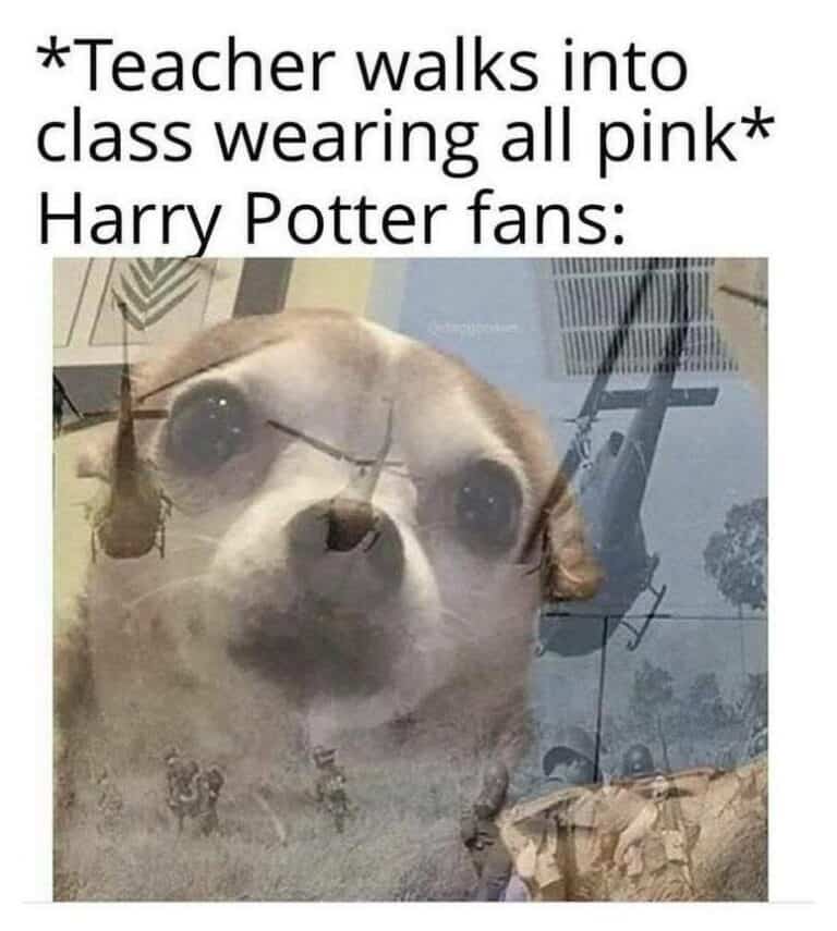 30 Of This Week's Funniest Harry Potter Memes That Even Snape Would ...