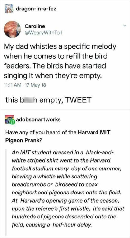 35+ Times Tumblr Turned History Into the Funniest Class You Never Took