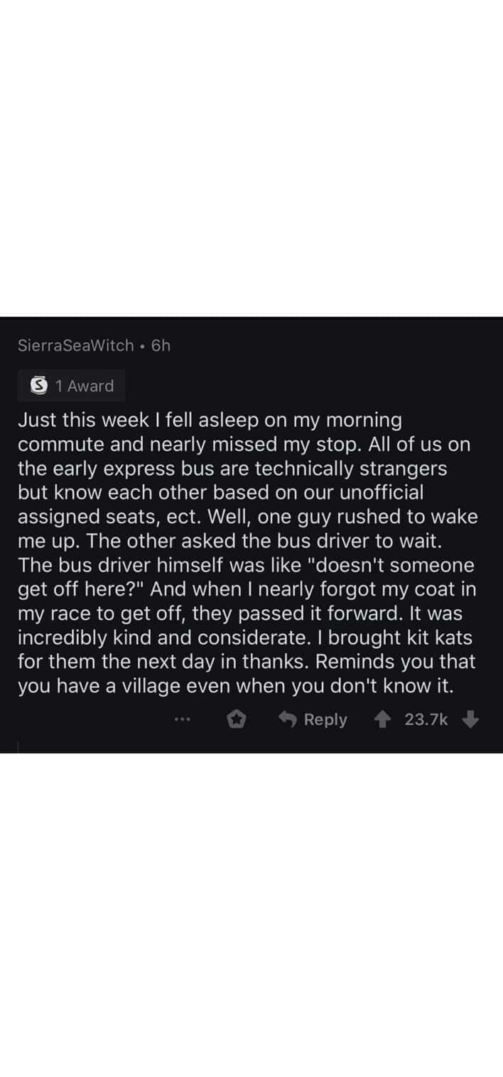 25 Wholesome Stories That Will Bring A Touch Of Calm To Your Scroll ...