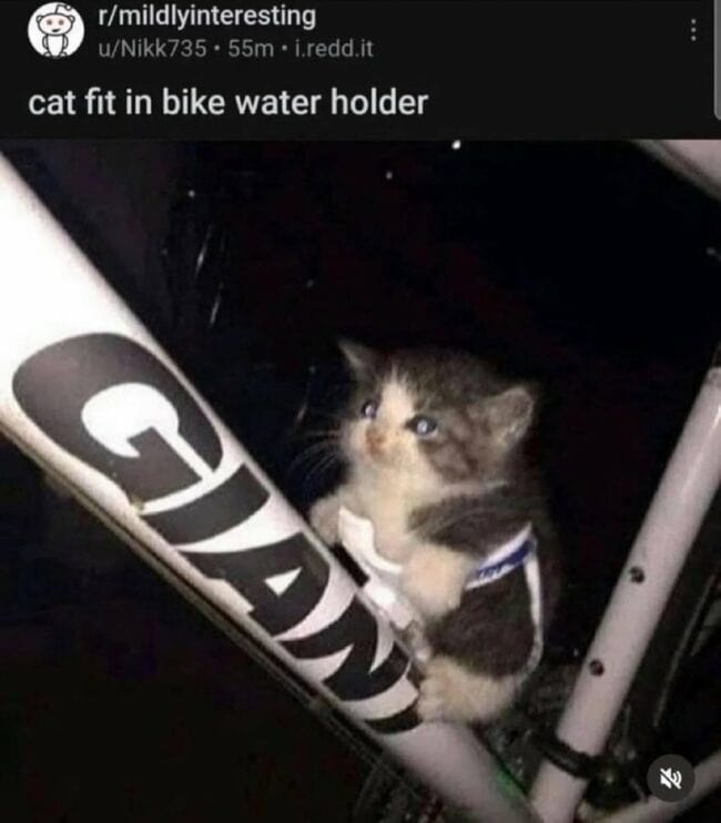 30 Wild Reddit Posts From This Week That Made Us Say “What…What?” (June ...