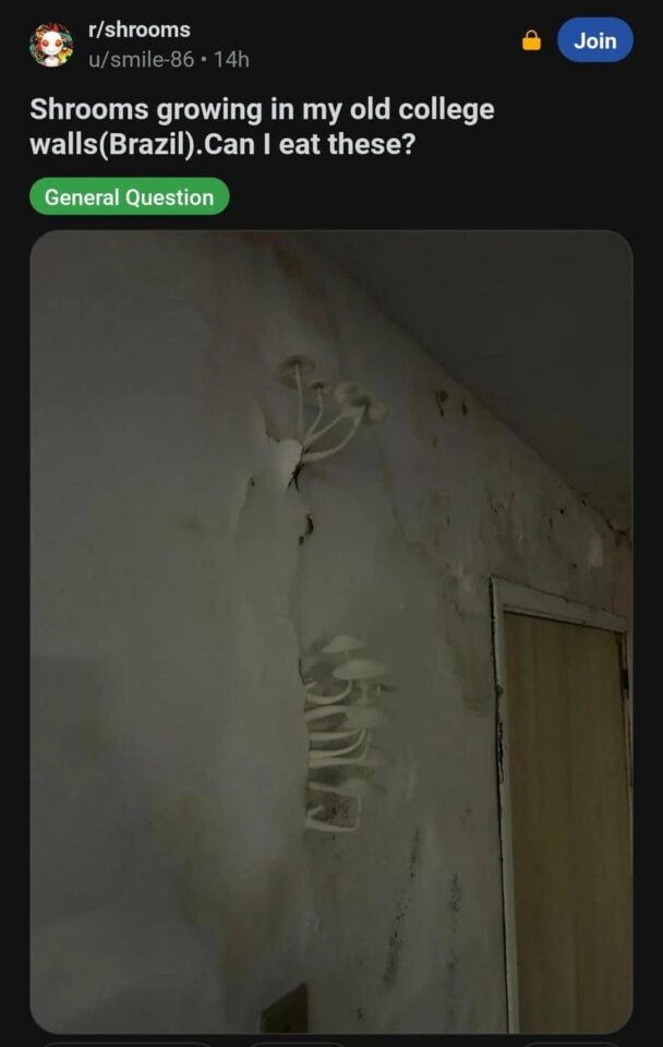 30 Wild Reddit Posts From This Week That Made Us Say “What…What?” (June ...