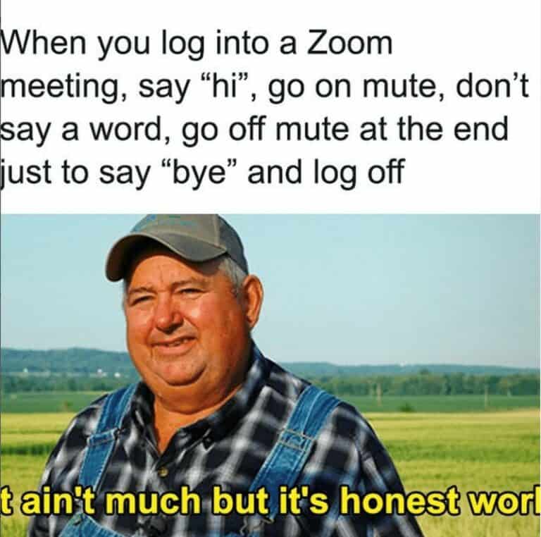 40 Funny Work From Home Memes For Workers Who Clock Out And Stay ...