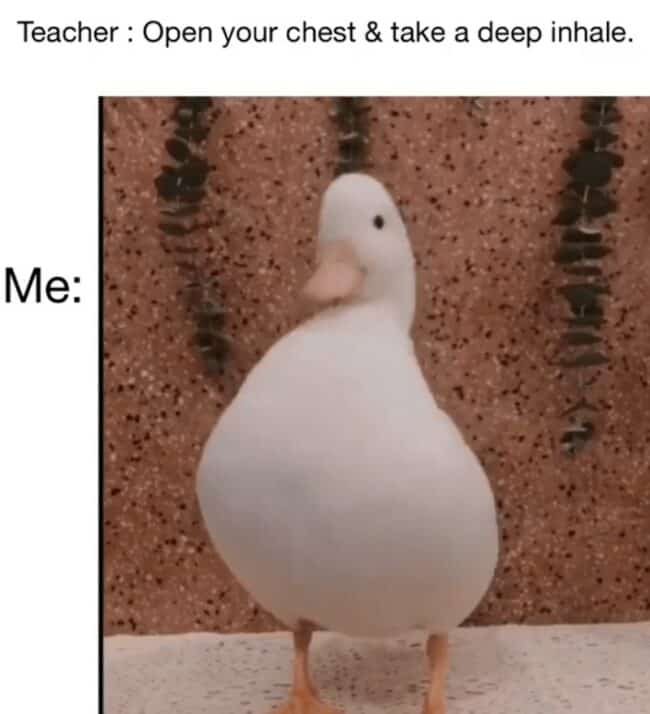 35 Funny Yoga Memes That’ll Leave Your Chakras Shook And Your Core Sore ...