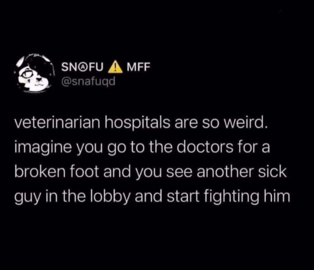 35 Brand New Sentences Predictive Text Couldn't Guess In A Million Years